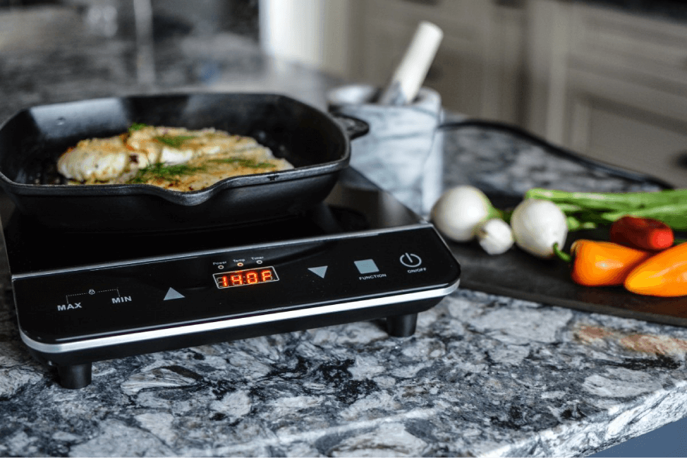 Induxpert 1800 Induction Burner Review The Cooking World